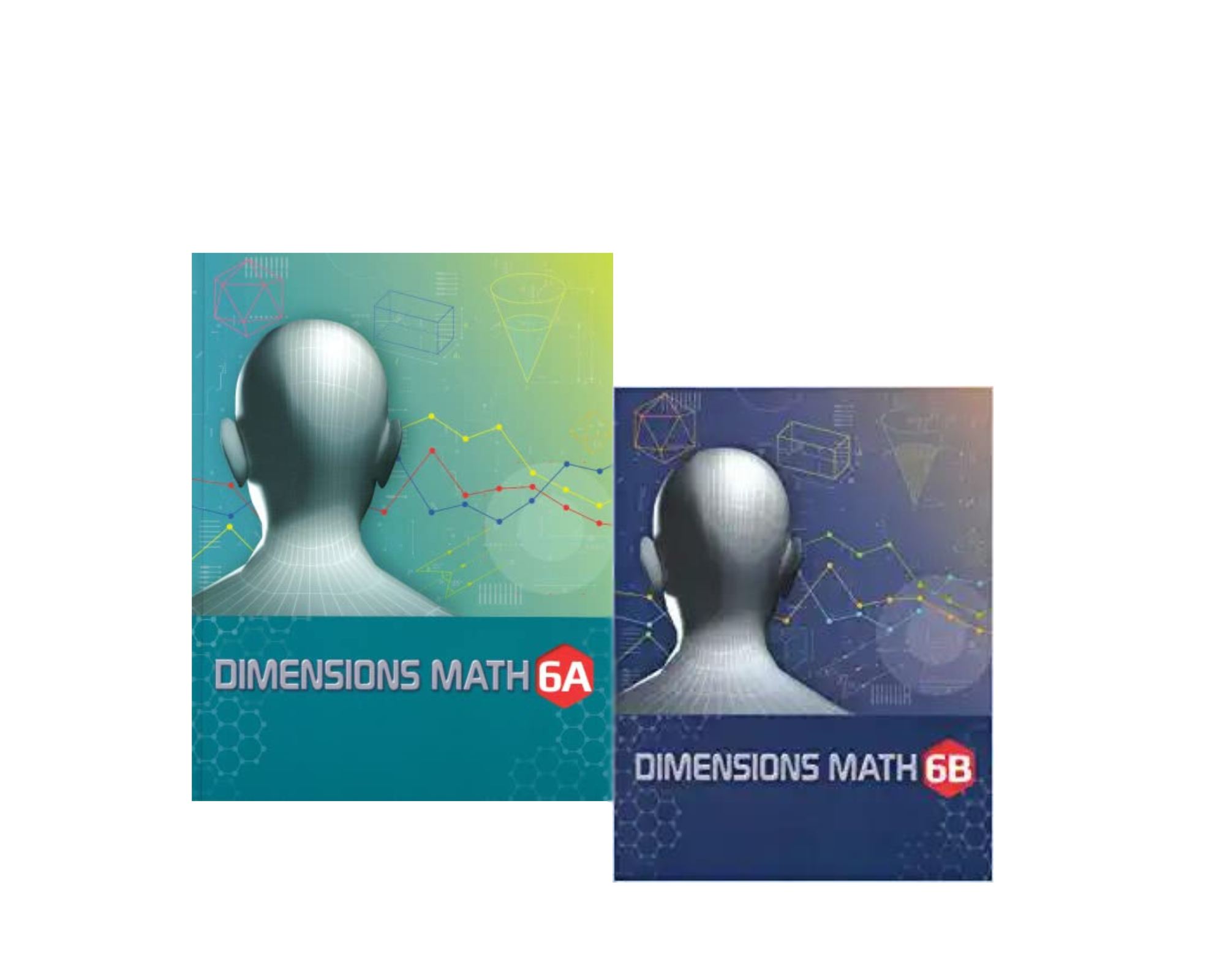 Singapore Math Grade 6 – Next Steps EDU